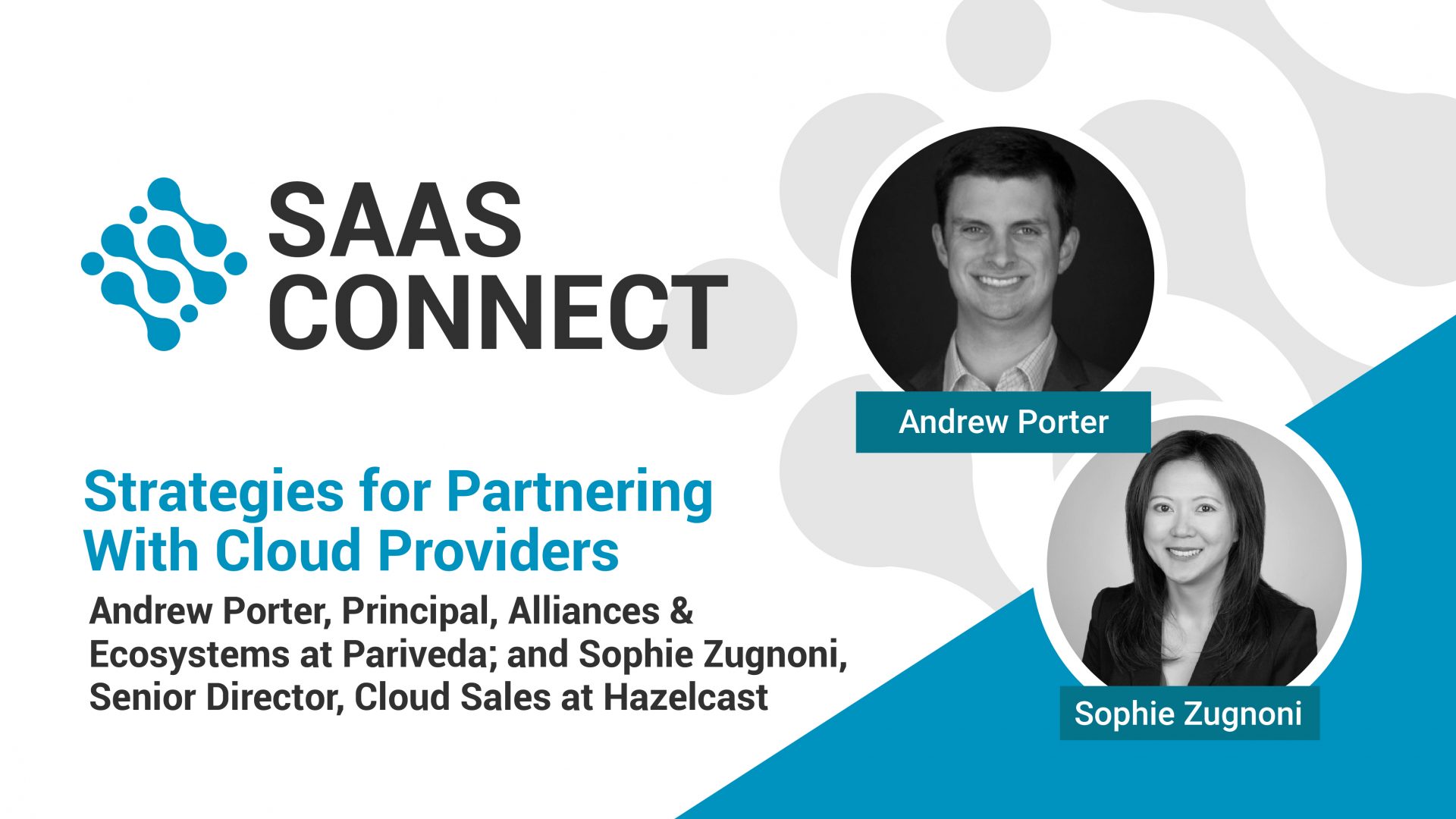 Strategies for Partnering With Cloud Providers - Cloud Software Association